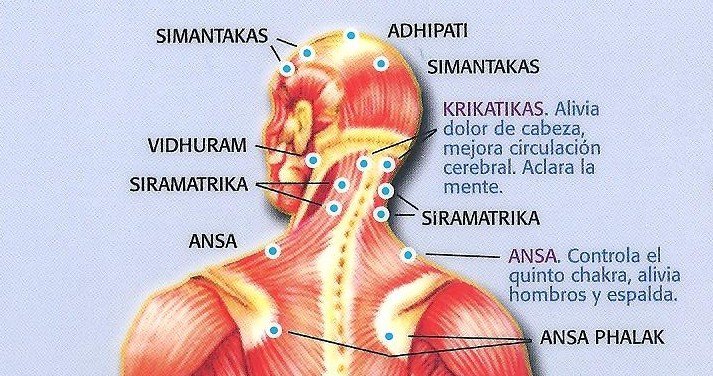 ¿Qué es el masaje Shiroabhyanga? - Odayaka Spa School